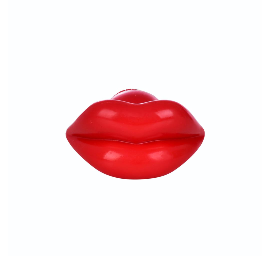 HUMUNGA LIPS SQUEAK FLOAT FETCH DOG TOY - Life Soleil