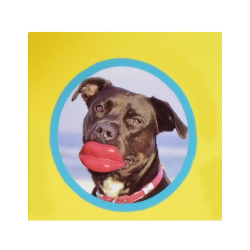 HUMUNGA LIPS SQUEAK FLOAT FETCH DOG TOY - Life Soleil