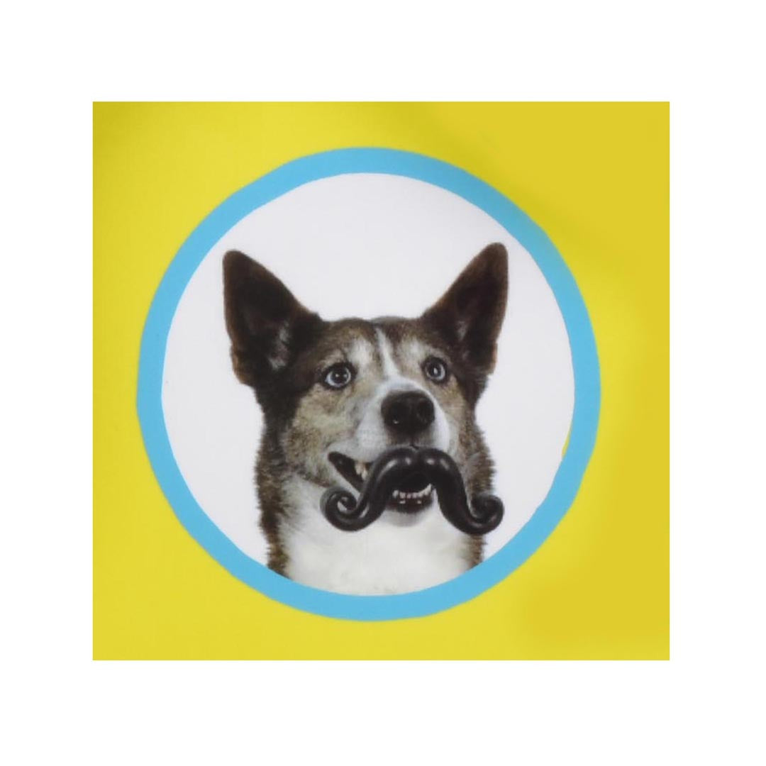 HUMUNGA STACHE SQUEAK FLOAT FETCH DOG TOY - Life Soleil